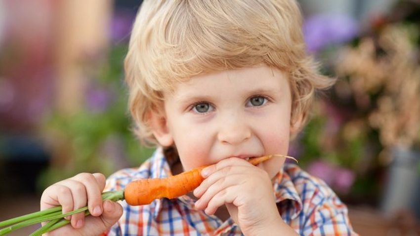 TOP7 furcsa tény élelmiszerekről - lila répa, mogyoró-dinamit és a nagy ...