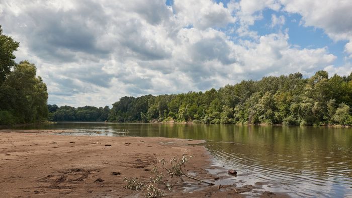 Az Exatlon miatt nem érettségizhetett tavaly Papp Dorci – eláruljuk ...
