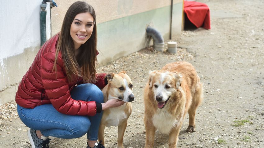Menhelyen járt: Budai Ivett kutyasétáltatással segíti a nehéz sorsú ...