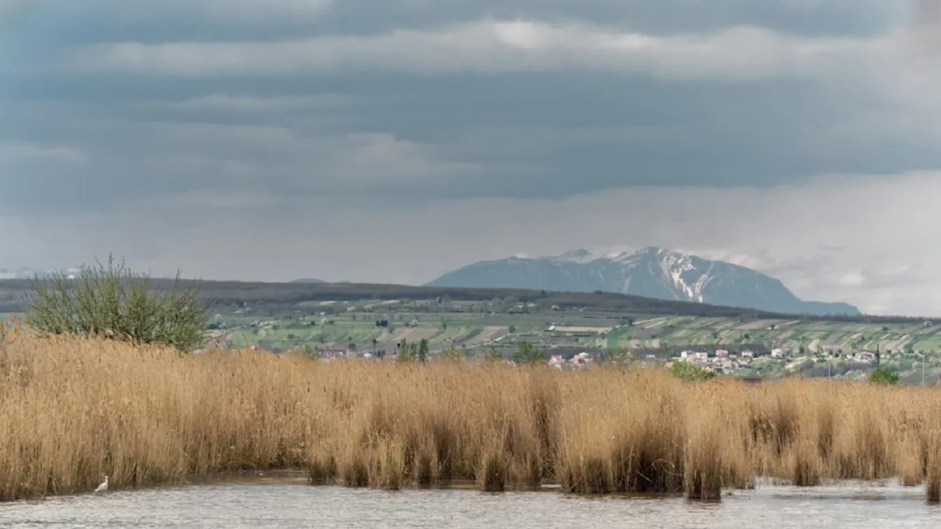 Különvonatot indítanak a Fertőzug sztyepp vidékének bejárására