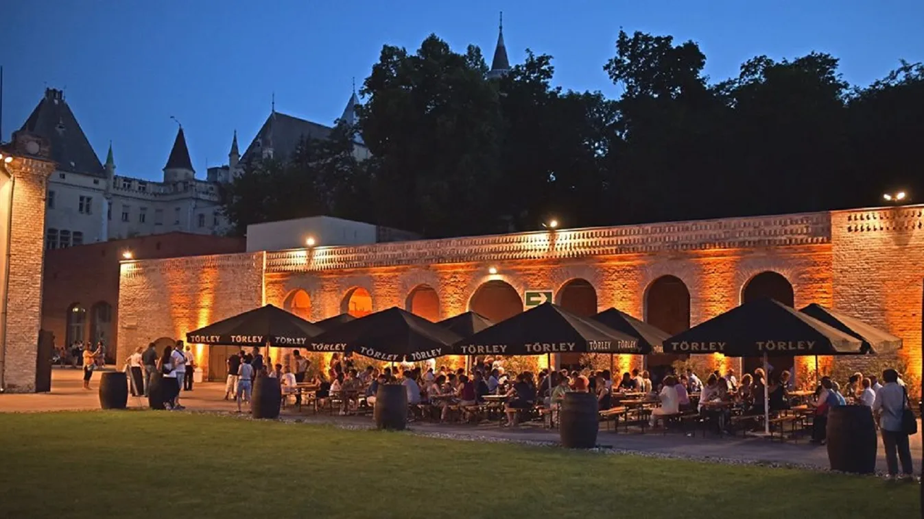 Több mint negyven termelő nedűjét kóstolhatja holnaptól Budafokon