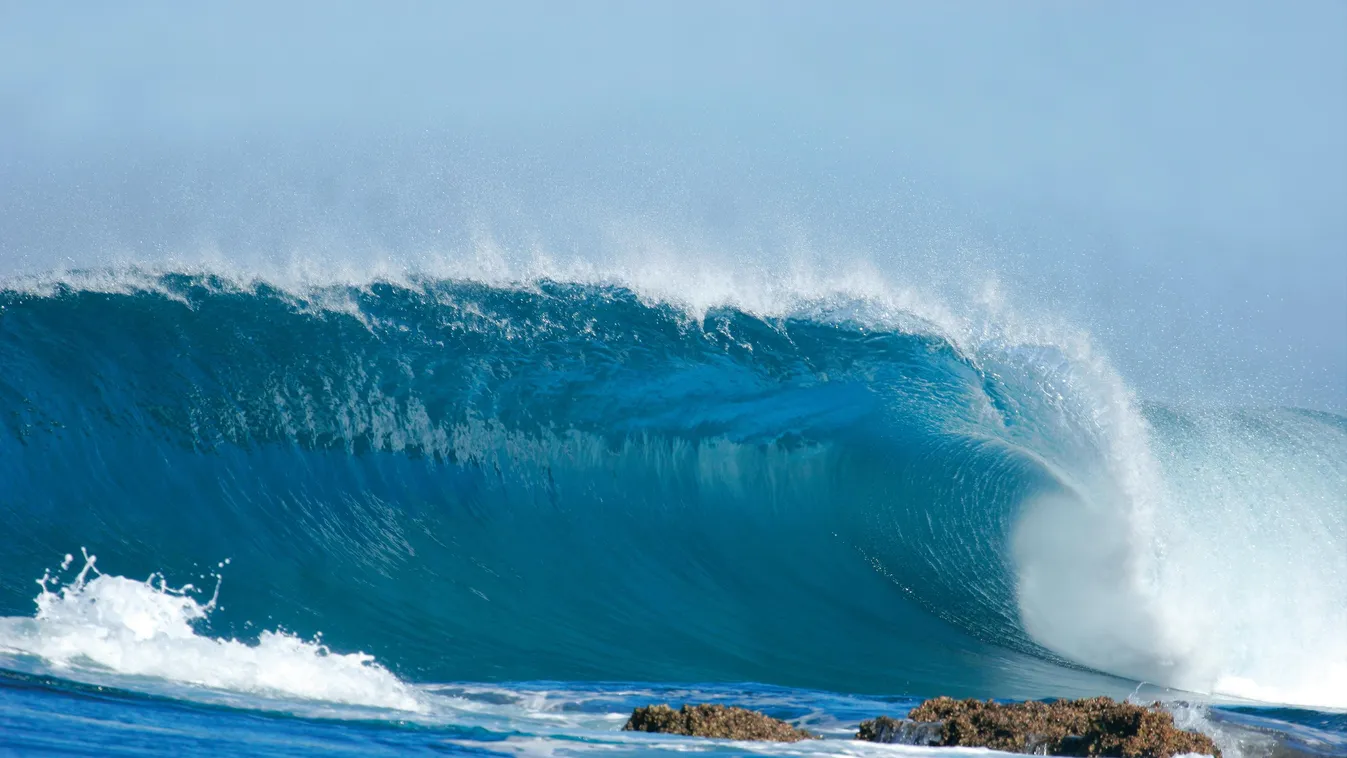 Félelmetes végítélet halra bukkantak a Kanári-szigeteknél, az emberek ...
