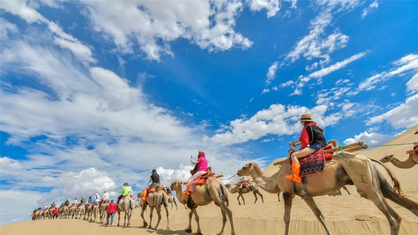 Annyi turista tevegel ebben a sivatagban, hogy tevelámpákat állítottak fel