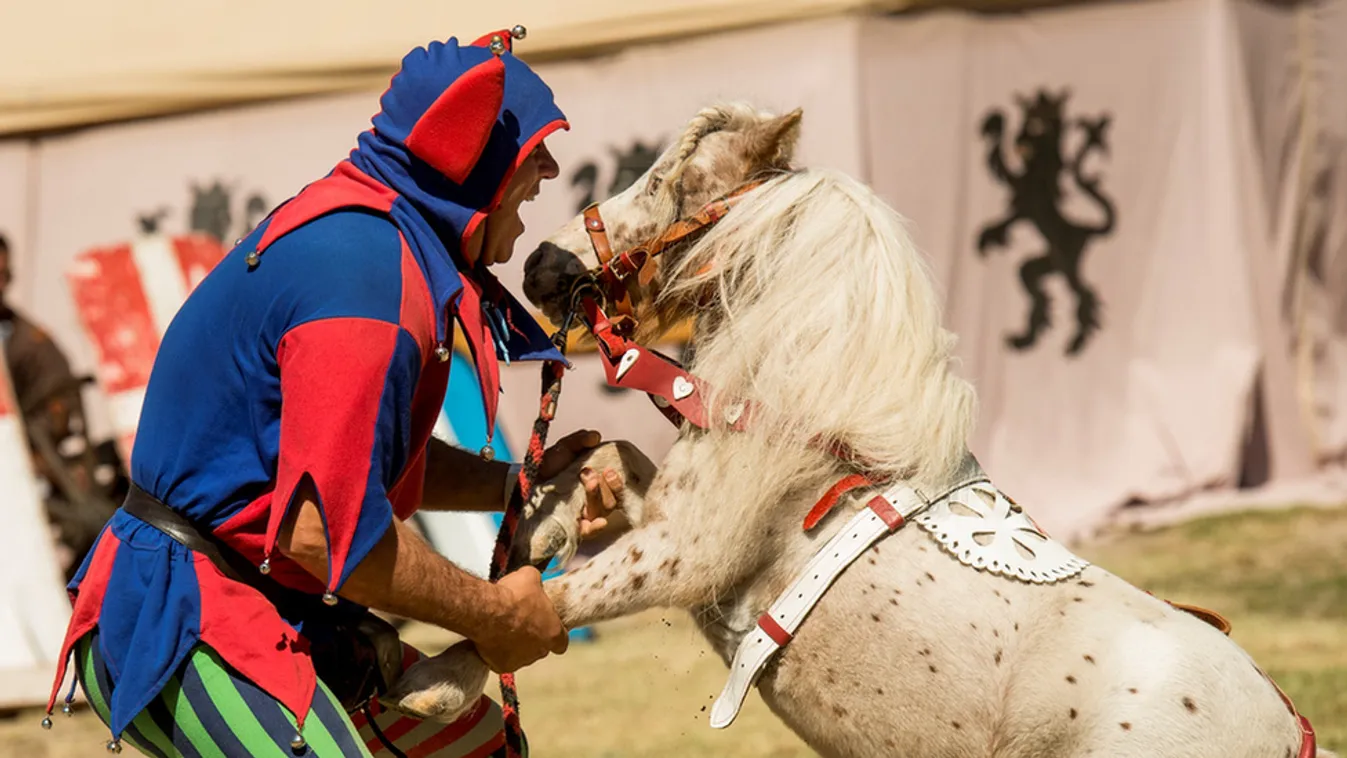 XXXIII. Visegrádi Nemzetközi Palotajátékok (2017. július 7-8-9.)