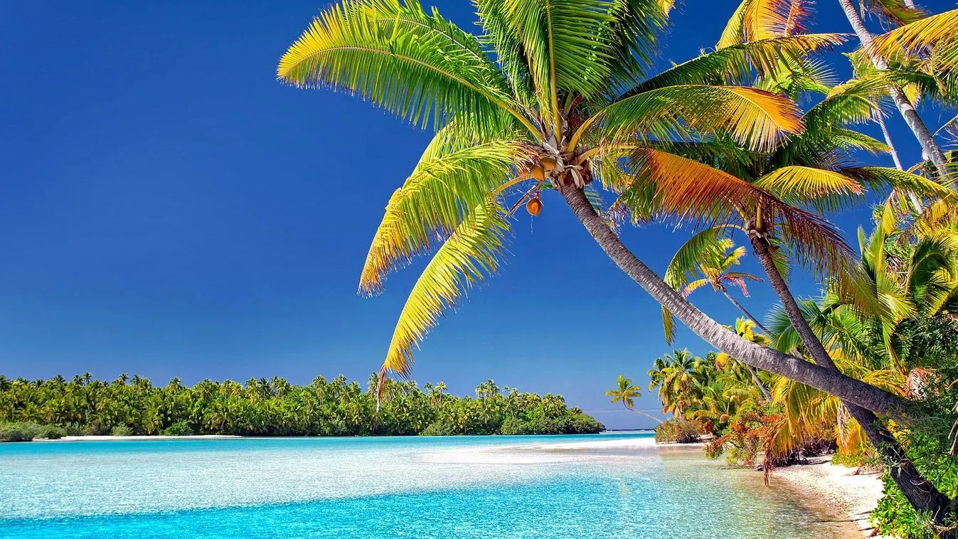 A Cook-szigeteken megunták a régi nevet, az újításon gondolkoznak