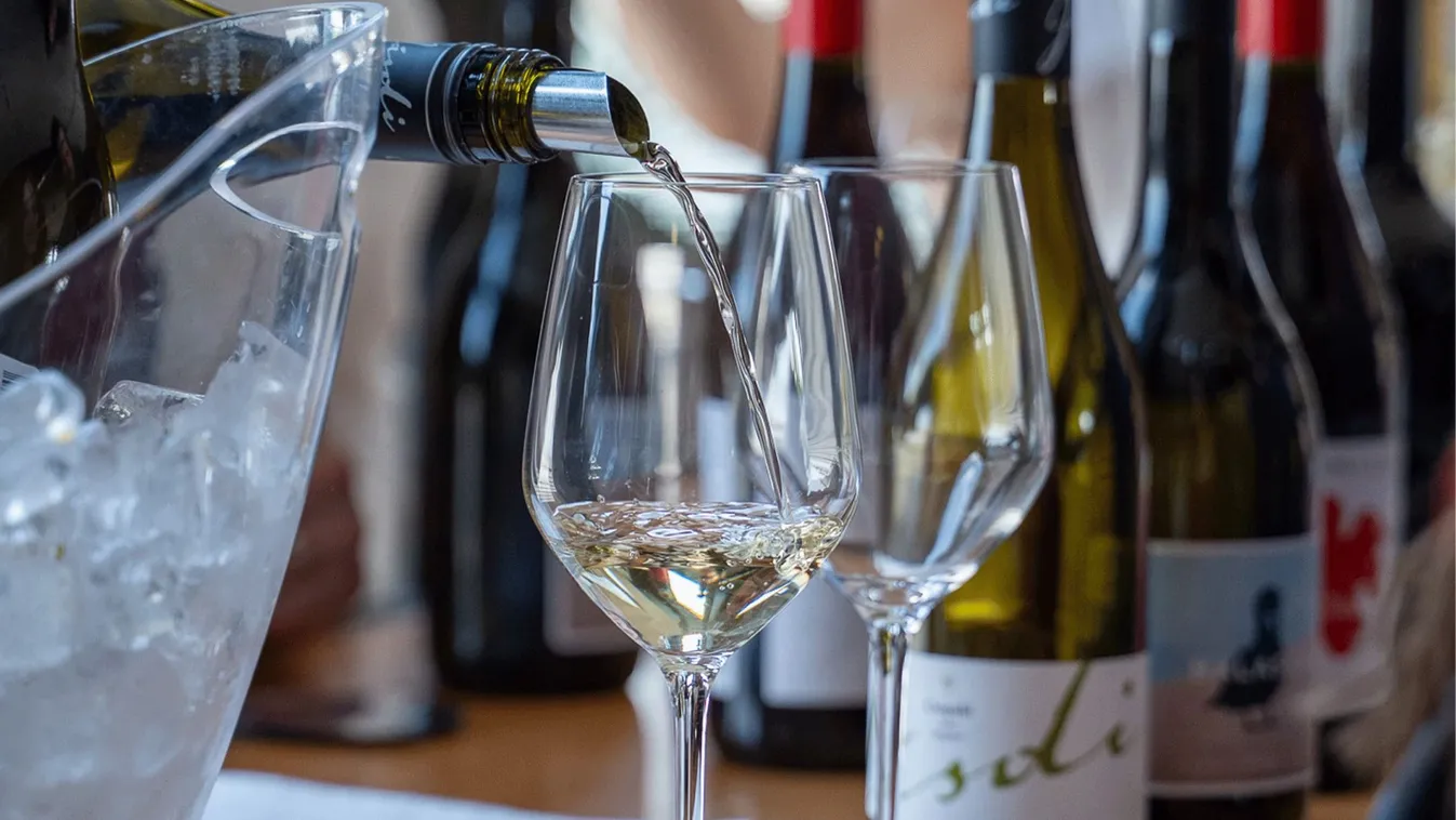 A magyar bor új arca: „A bor nem unalmas, nem öreges – épp ellenkezőleg”