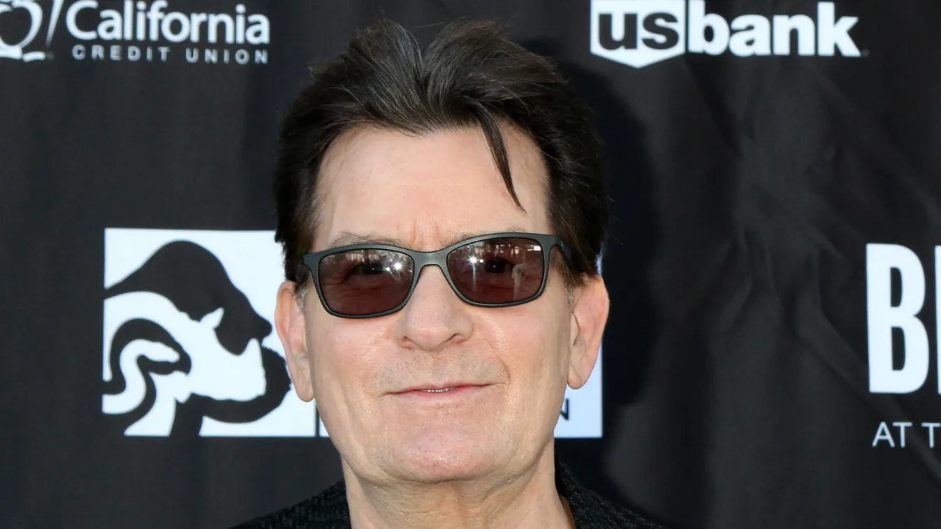 60 éves lett Charlie Sheen, Hollywood örök rosszfiúja
