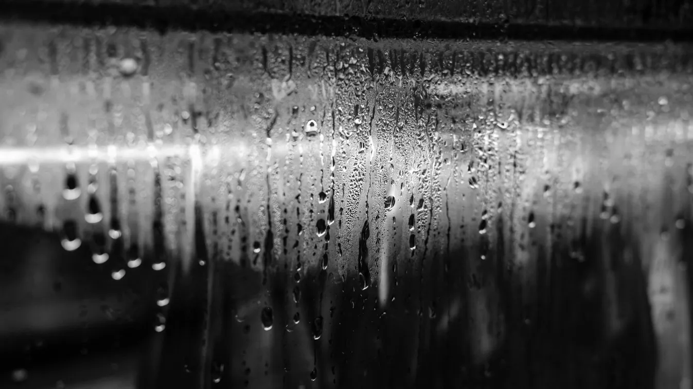 Így szabadulj meg a párától a lakásban